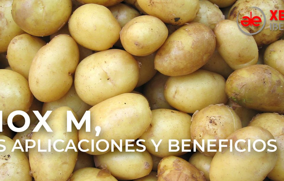 Antigerminativo para patatas BIOX M - Xeda Iberica